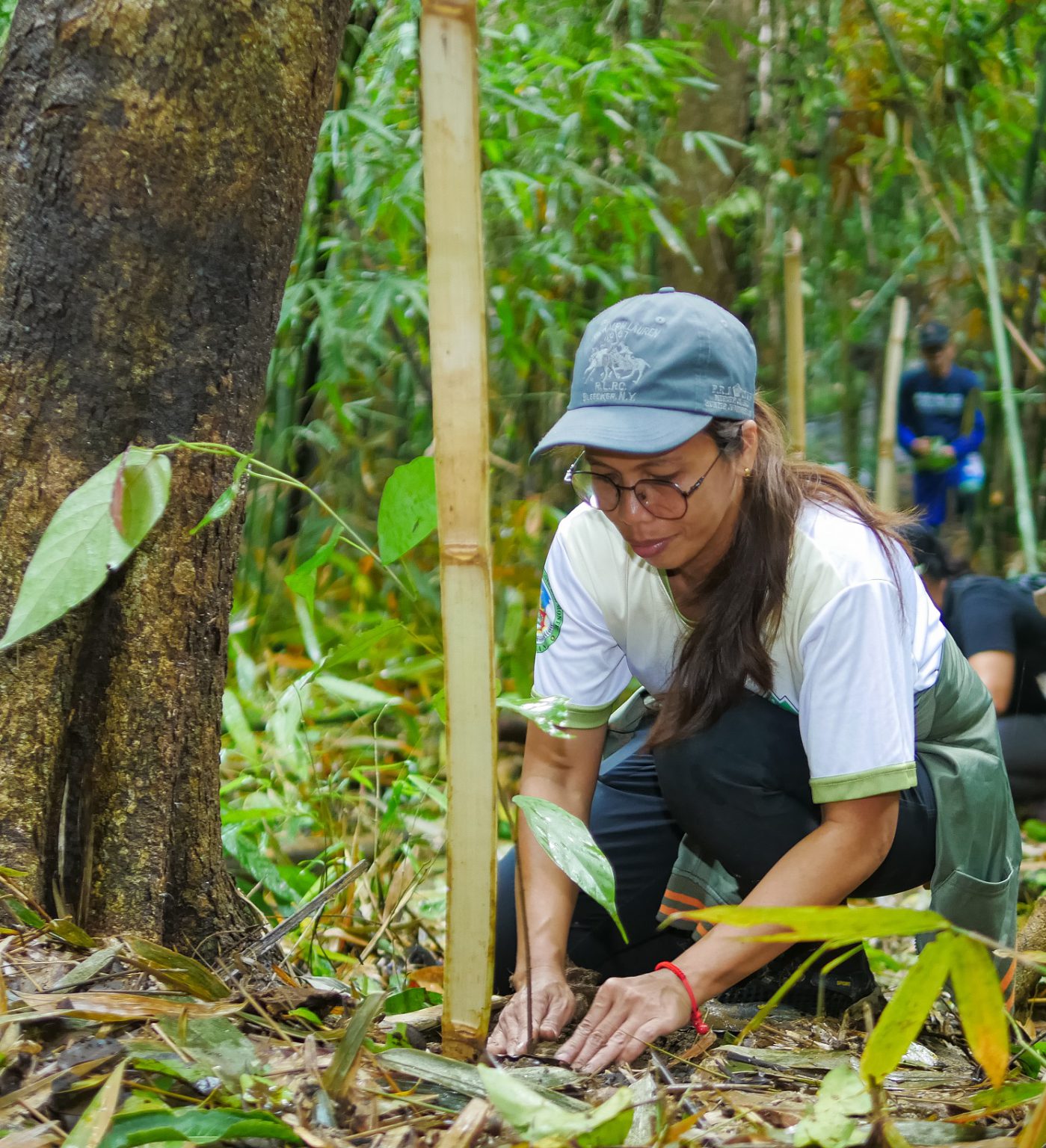 Maynilad targets 180,000 trees in 2025 to protect vital watersheds ...